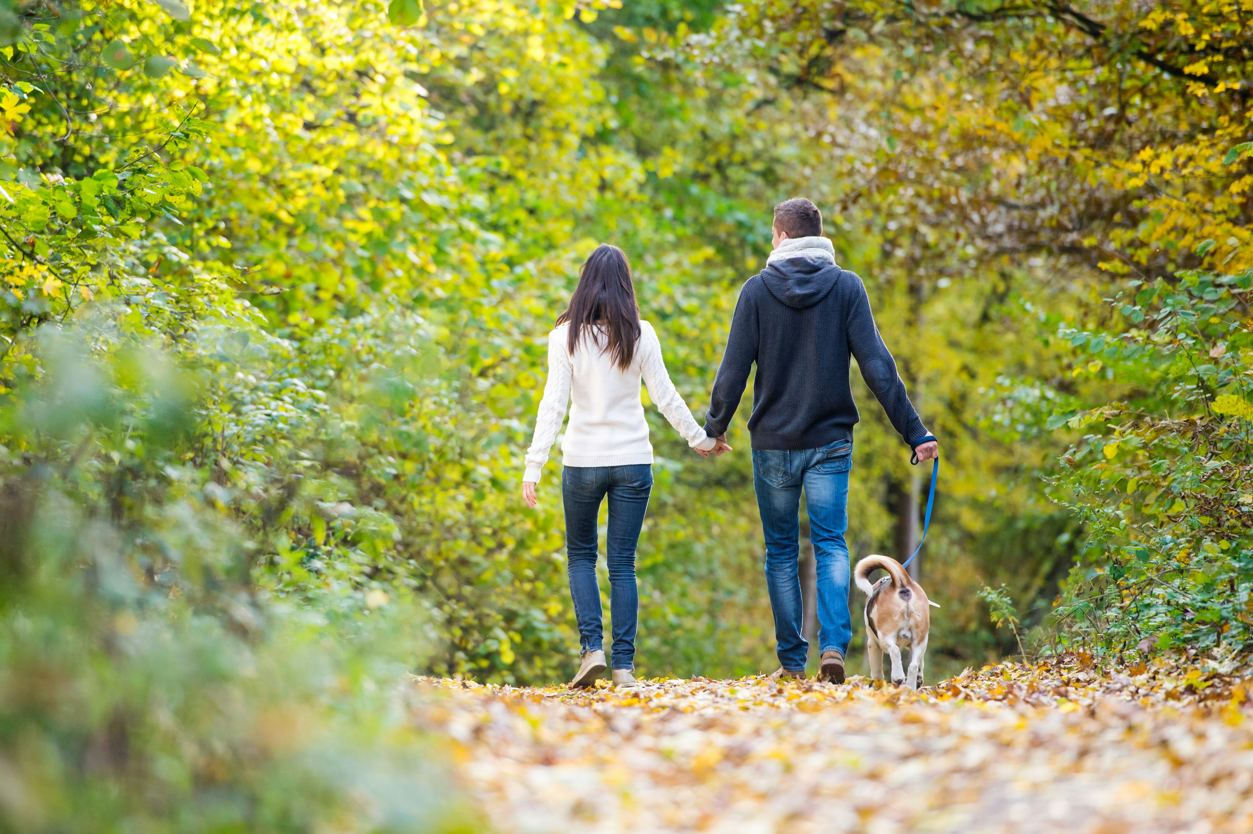 Health Benefits of Walking: Why a Brisk Walk Matters